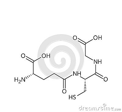 Glutathione Structural Formula Of Molecular Structure Vector ...