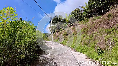 Go Up the Hill Using Asphalt Road Stock Video - Video of nature ...