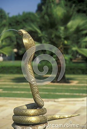 Golden Cobra Royalty Free Stock Photography - Image: 3847387