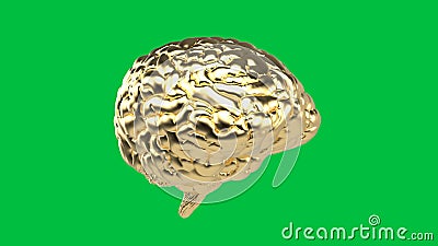 Human Brain on Green Screen Stock Footage - Video of brain, cerebral ...