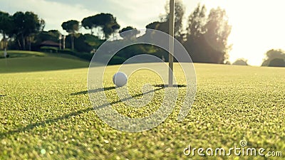Golf Ball Rolling into Hole on Green Grass of Golf Course Stock Video ...