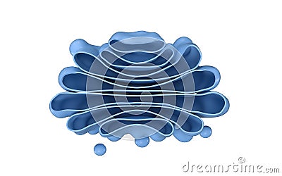 Golgi Apparatus Of The Cell, Close-up View, 3d Rendering Stock Photo ...