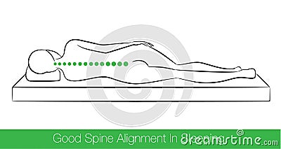 Good Spine Alignment In Sleeping. Stock Vector - Image: 63663898