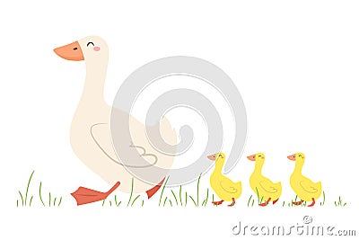 Goose With Goslings. Vector Illustration In Cartoon Flat Style ...