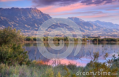 Goose Lake Royalty Free Stock Photo - Image: 37204935