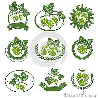 Gooseberry Labels And Elements Set. Vector | CartoonDealer.com #72554796