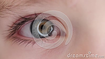 Close Up of Coloured Eye of Kid Blinking Stock Video - Video of ...