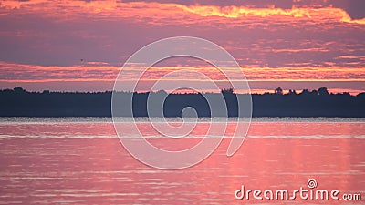 Gorgeous Dawn Over River with Pink Clouds Stock Footage - Video of ...