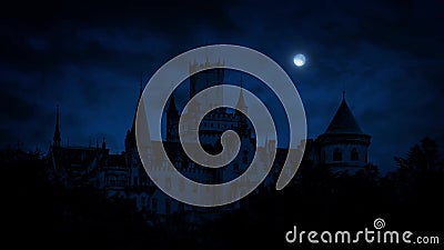 Gothic Castle at Night with Full Moon Stock Video - Video of flag, moon ...