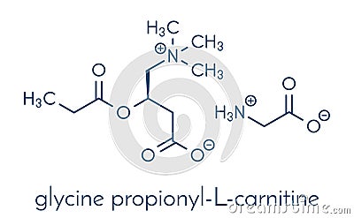 GPLC Glycine Propionyl-L-carnitine Nutritional Supplement Molecule ...