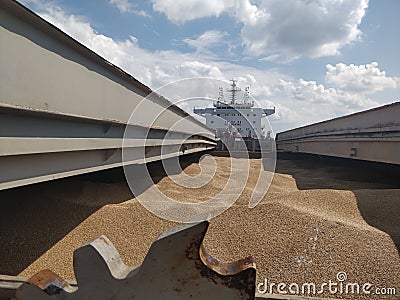 Grain Cargo Fully Loaded In The Bulk Carrier Ship Royalty-Free Stock ...