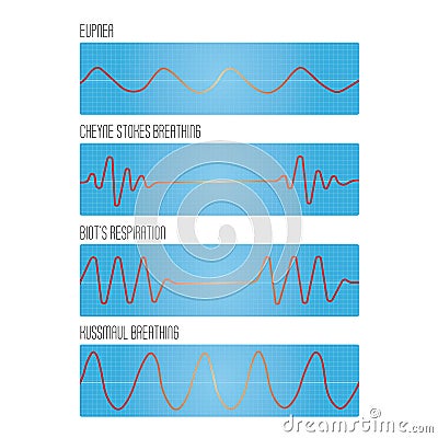 Graph Of Breathing, The Pathological Types Of Breathing Stock Vector ...