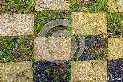 Grass Checkerboard Stock Photo - Image: 47565441