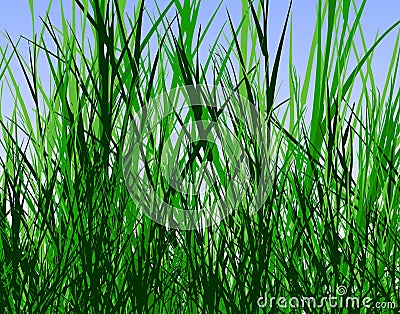 Grass Jungle Vector Illustration | CartoonDealer.com #3763374