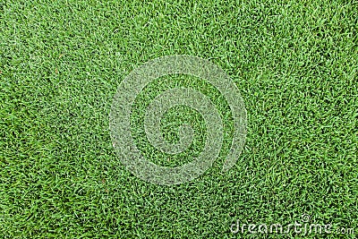 Grass Top View Royalty Free Stock Photo - Image: 26481575