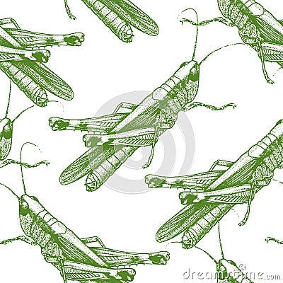 Grasshopper, Locust, Insect, Seamless Pattern. Engraving Vector ...