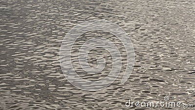 Gray Water Background With Small Ripples On The Surface. Royalty-Free ...