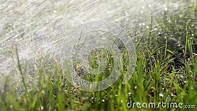 Greasy Grass WATERING BACKGROUND Stock Video - Video of greasy, move ...