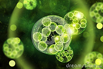 Green Algae Cells 3D Illustration Royalty-Free Cartoon | CartoonDealer ...