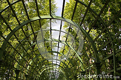 Green Arch Royalty Free Stock Photo - Image: 25034195