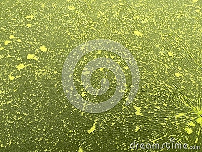 Green Biofilm Texture On Dirty Water Stock Image | CartoonDealer.com ...