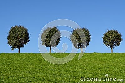 Green Fields And Trees Stock Photography | CartoonDealer.com #3122528