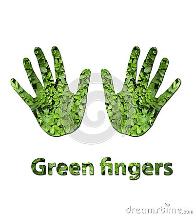 Green Fingers Stock Image - Image: 13117591