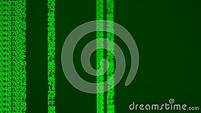 Green Glowing Computer Program Assembler Source Code on Computer Screen ...
