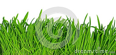Green Grass Background, High Resolution Stock Photo - Image: 13900930