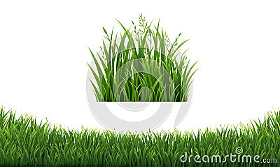 Green Grass Frames Set In Isolated White Background Vector Illustration ...