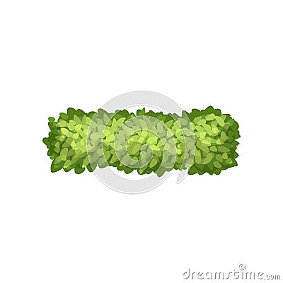 Green Grass, Landscape Design Element, Top View Vector Illustration On ...