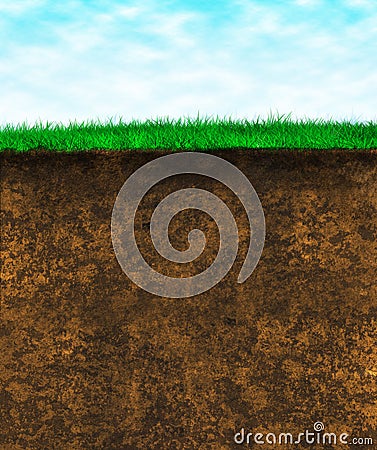 Green Grass Soil - Texture Surface Royalty-Free Stock Photography ...