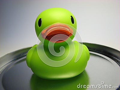 Green Gum Duck 15 Stock Images - Image: 1735514