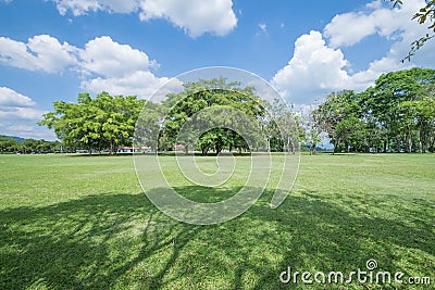 Green Lawn Relaxing Shady Park Stock Image | CartoonDealer.com #99690217