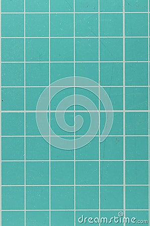 Green Rubber Texture Royalty-Free Stock Photo | CartoonDealer.com #57642867