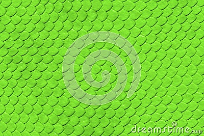 Green Snake Skin Pattern Royalty-Free Stock Image | CartoonDealer.com ...