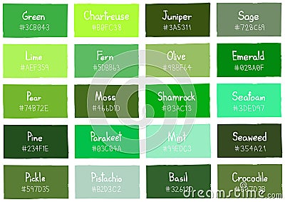 Green Tone Color Shade Background With Code And Name Vector ...