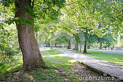 Walking path through park stock photo. Image of outdoors - 31673712