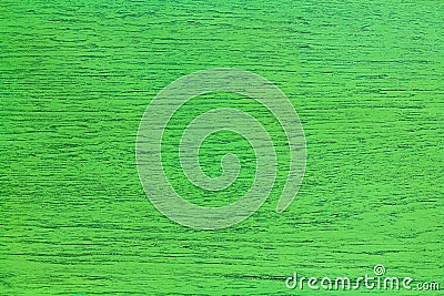 Green Wood Texture Background Stock Image | CartoonDealer.com #71302297