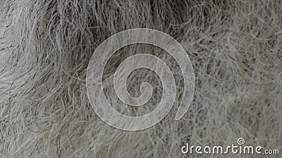 Grey Beard Background Texture Closeup Stock Footage - Video of isolated ...