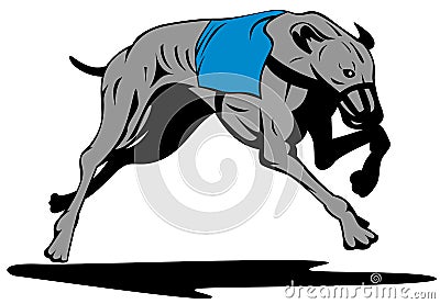 Greyhound Stock Illustrations – 2,142 Greyhound Stock Illustrations ...
