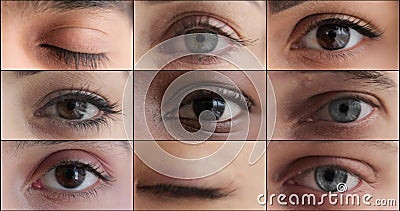 Grid of Blinking Human Eyes Stock Footage - Video of diverse, sight ...