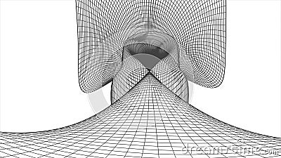 Grid Net Polygonal Wireframe Peacock Bird Abstract Drawing Animation ...