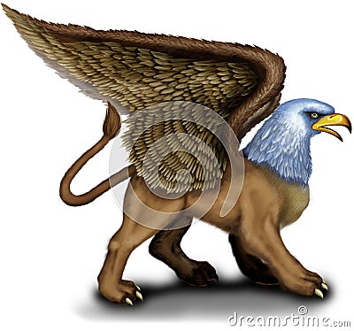 Grifone Fotografia Stock - Immagine: 5531420