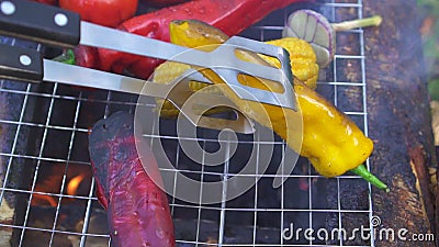 Cooking Grilled Vegetables On The Fire In Nature Stock Video - Video of ...