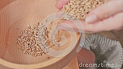 Grinding Wheat with a Tabletop Mill Stock Footage - Video of baking ...