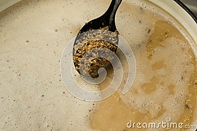 Ground Malt On A Spoon. Process Of Making Home Beer From Malt. Craft ...