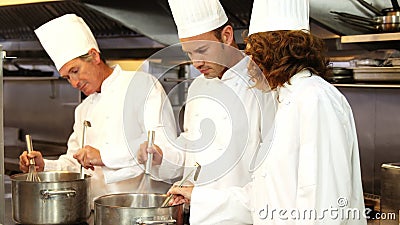 Group of Chef Talking and Cooking Stock Video - Video of amusement ...