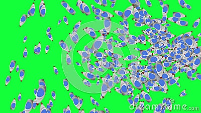 Group of Plastic Bottles Animation, Editable Green Screen -Chroma Key ...