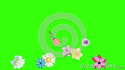 Group of Spring Flowers Animation Elements on Green Screen Chroma Key ...